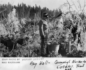Hace 45 años cayó nieve en Miami - Cuballama Noticias