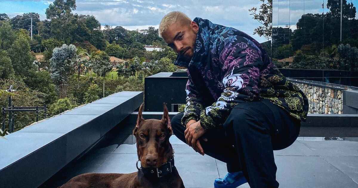 Maluma fue mordido en la cara por su perro y así reacciona