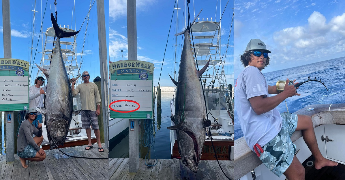 Atún capturado en Florida pudiera ser un récord - Cuballama Noticias