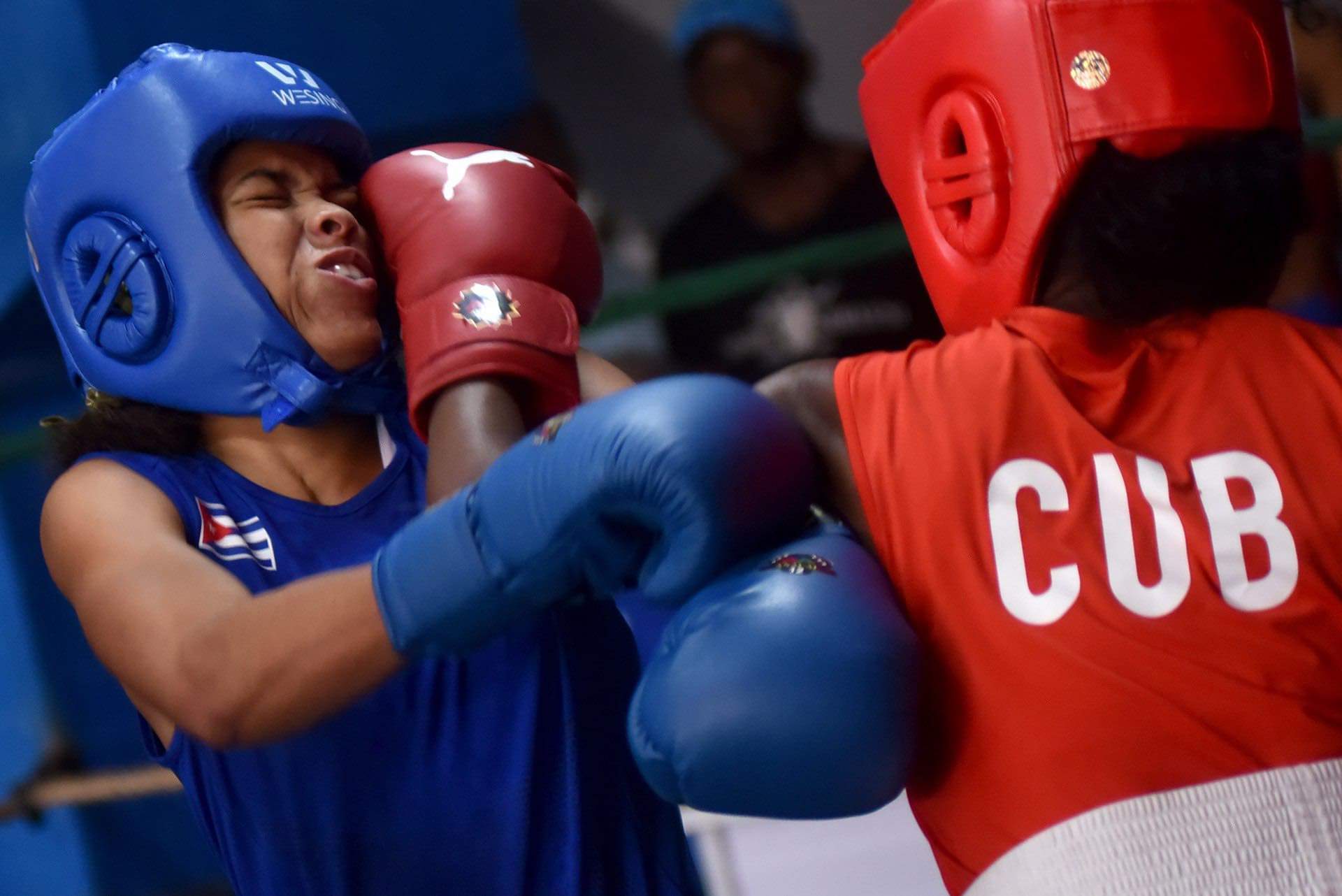 Histórico: Celebran primer cartel de boxeo femenino en Cuba - Cuballama ...