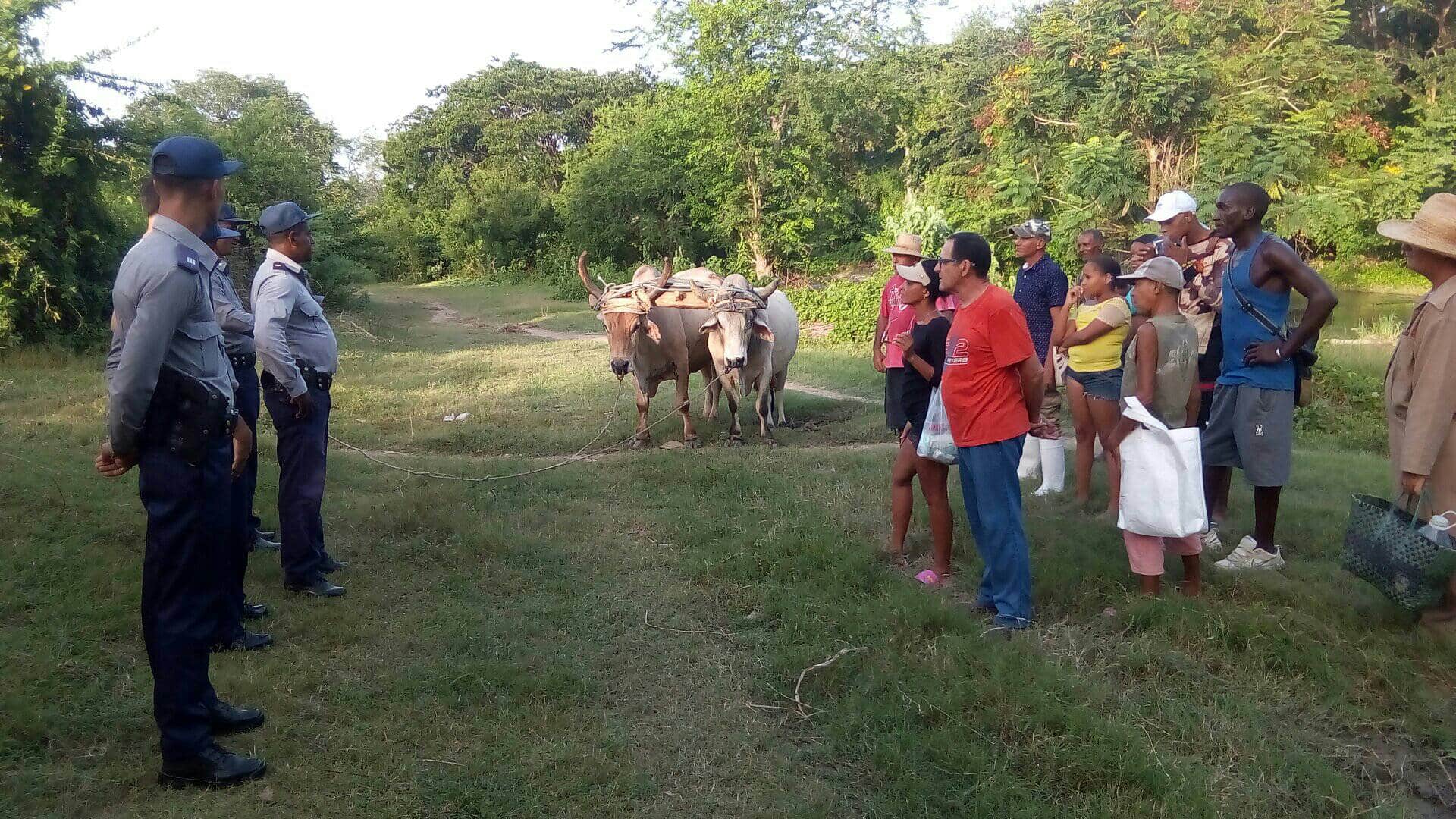 PNR devuelve televisores y una yunta de bueyes robados - Cuballama Noticias