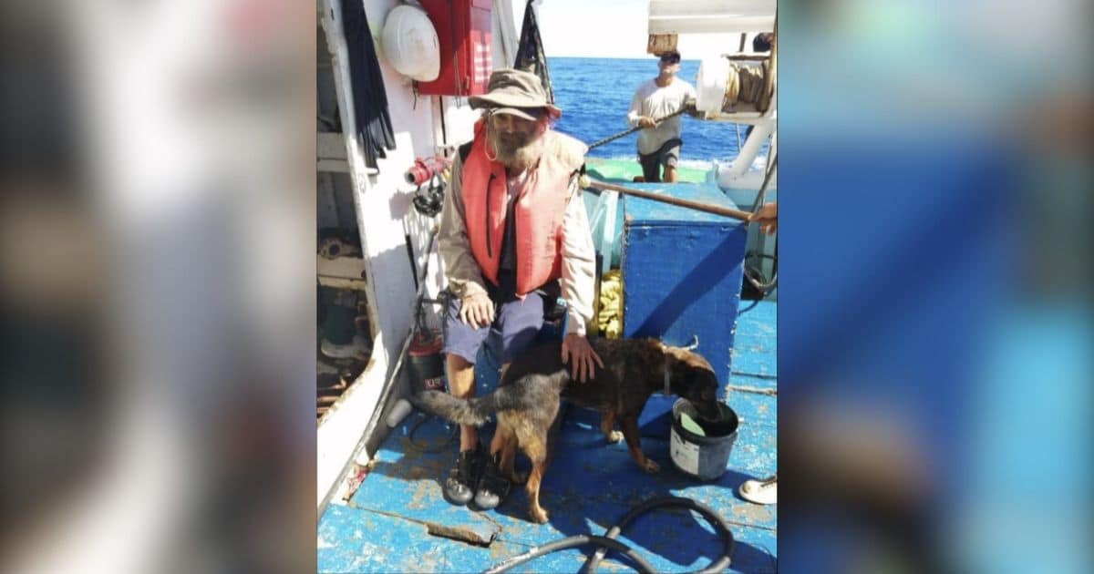 Bella, perrito que acompañó al náufrago australiano Tim Shaddock fue ...