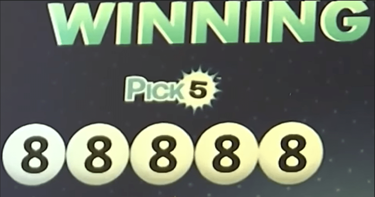 El número que hizo historia en la Florida: 88888 reparte millones entre 177 ganadores del Pick 5 ...